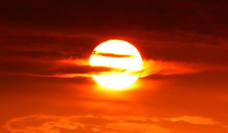 Durable Metal Barcode Labels, Industrial Tags - Camcode